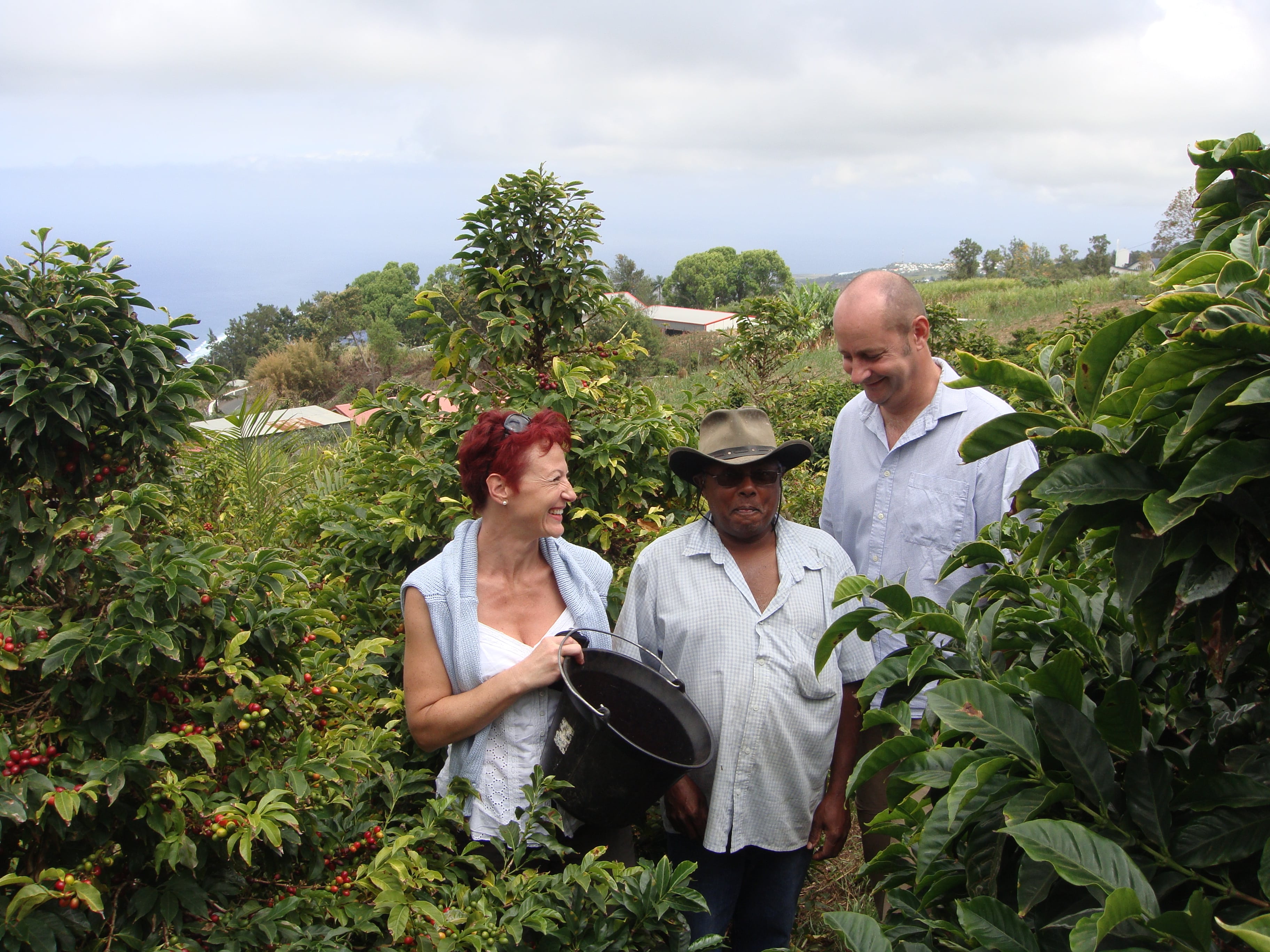 Pourquoi choisir du café bio